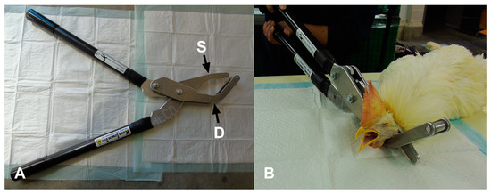 Efficacy of a Novel Mechanical Cervical Dislocation Device in ...