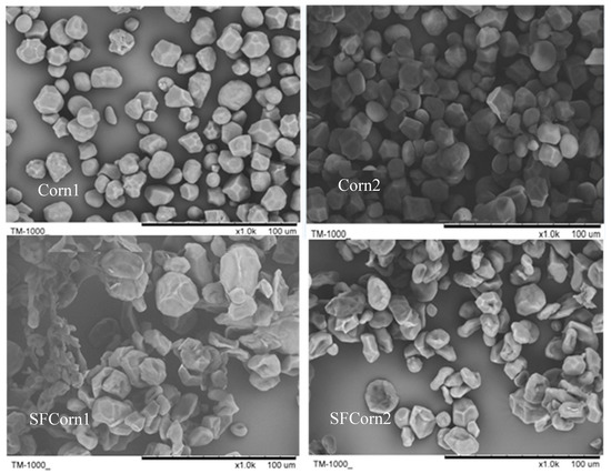 Variance of Zein Protein and Starch Granule Morphology between Corn and ...