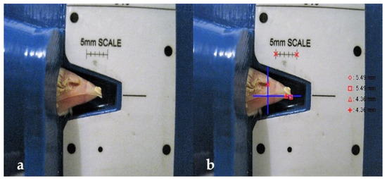Understanding How Infrared Beak Treatment Affects the Beak Tissue and ...