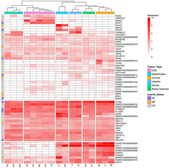 Genome-Wide Analysis of Allele-Specific Expression Patterns in ...