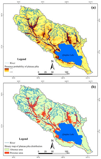Modeling the Spatial Distribution of Plateau Pika (Ochotona curzoniae ...
