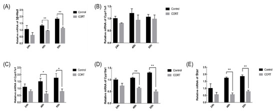 Corticosterone Injection Impairs Follicular Development, Ovulation and ...