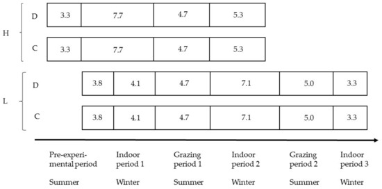 Animals | Free Full-Text | Beef Production Systems with Steers of Dairy ...