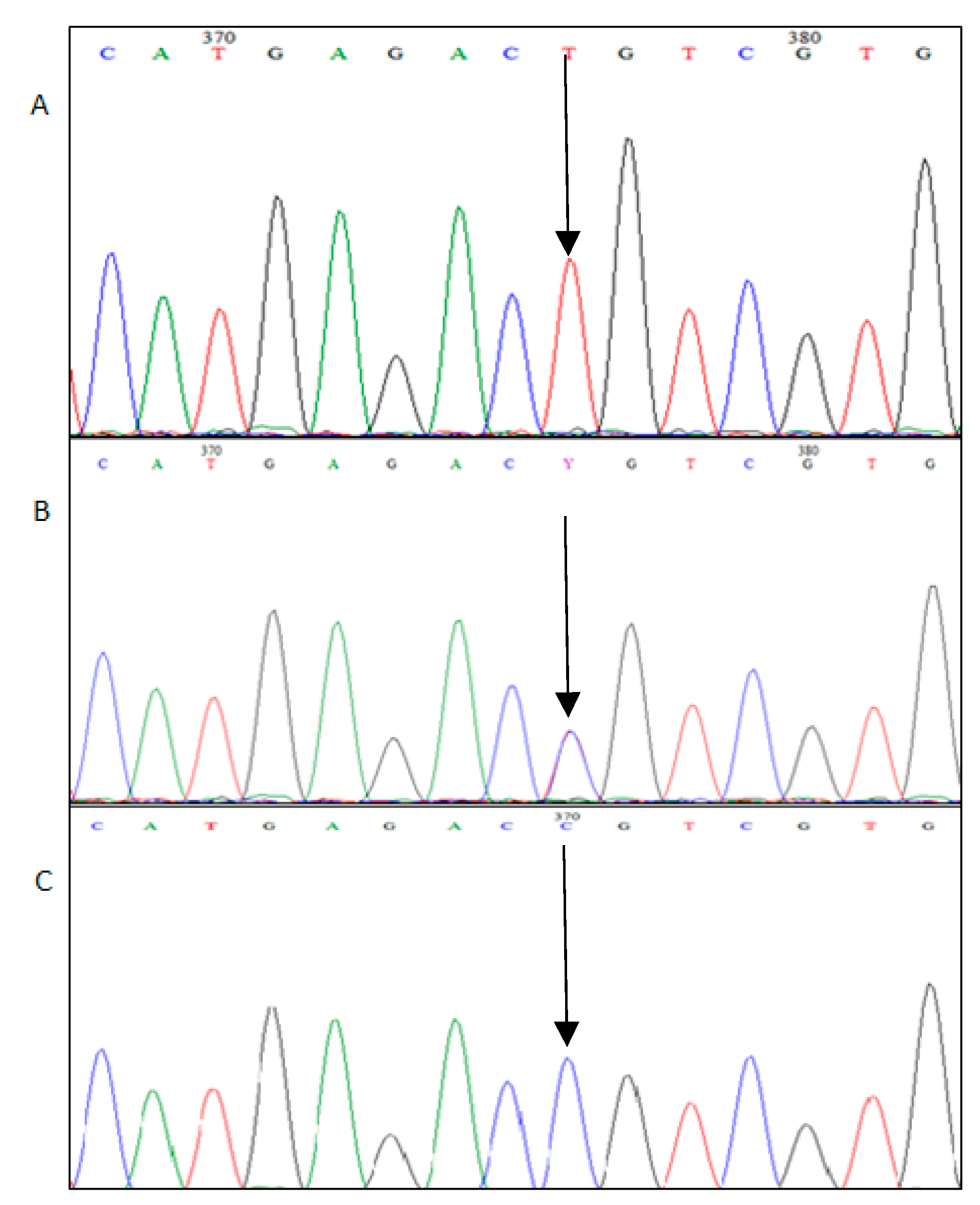Polymorphism of the Myostatin (MSTN) Gene in Landes and Kielecka Geese ...