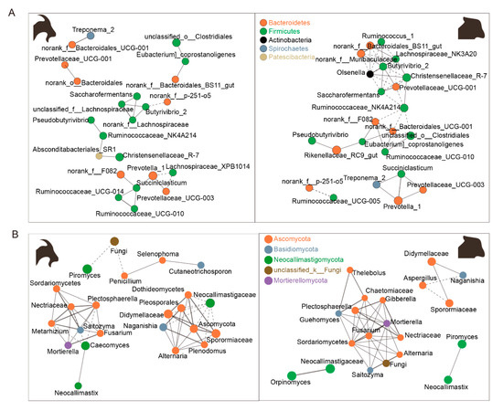 Diversity and Composition of Rumen Bacteria, Fungi, and Protozoa in ...