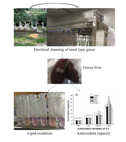 Animals | Special Issue : Integrated and Sustainable Approach to the ...