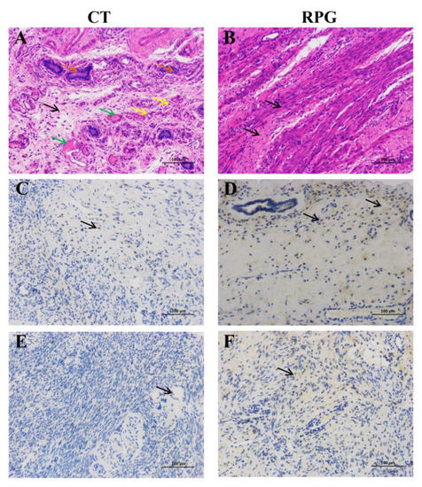 Rumen-Protected Glucose Stimulates the Insulin-Like Growth Factor ...