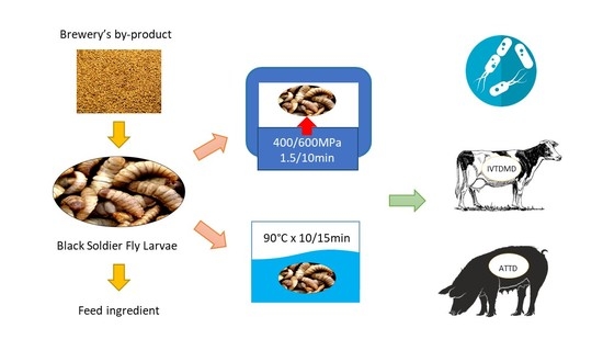 Animals | Special Issue : Black Soldier Fly Production and Applications
