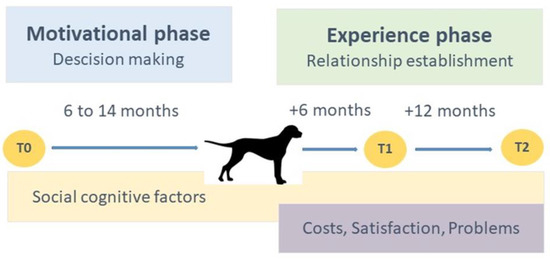 Expectations Versus Reality: Long-Term Research on the Dog–Owner ...