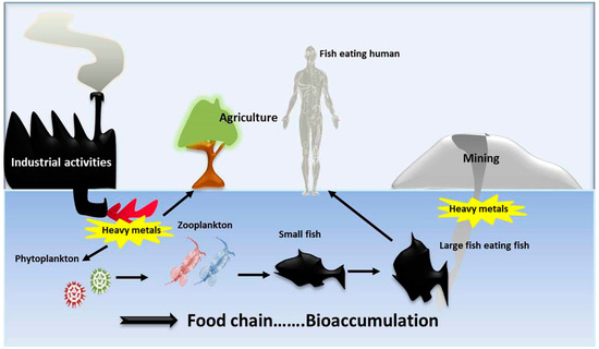 Biomonitoring of Heavy Metal Pollution Using Acanthocephalans Parasite ...