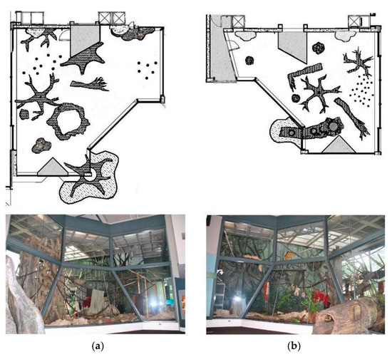Same Space, Different Species: The Influence of Exhibit Design on the ...