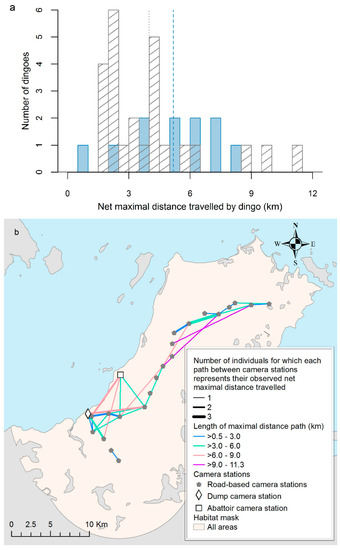 Animals | Free Full-Text | Dingo Density Estimates and Movements in ...