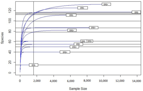 Metataxonomic and Histopathological Study of Rabbit Epizootic ...