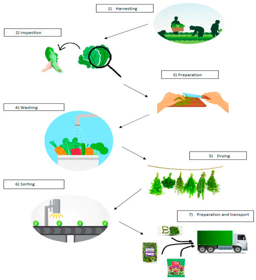 Reduce, Reuse, Recycle for Food Waste: A Second Life for Fresh-Cut ...