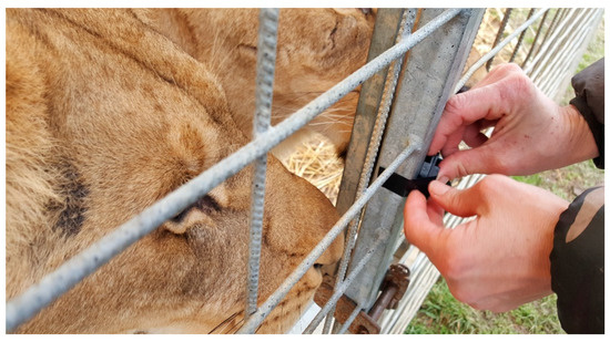 Animals | Free Full-Text | Diurnal Body Temperature and Rate of Passage ...