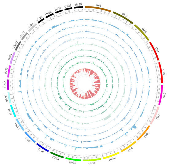 Genome-Wide Assessment of Runs of Homozygosity in Chinese Wagyu Beef Cattle