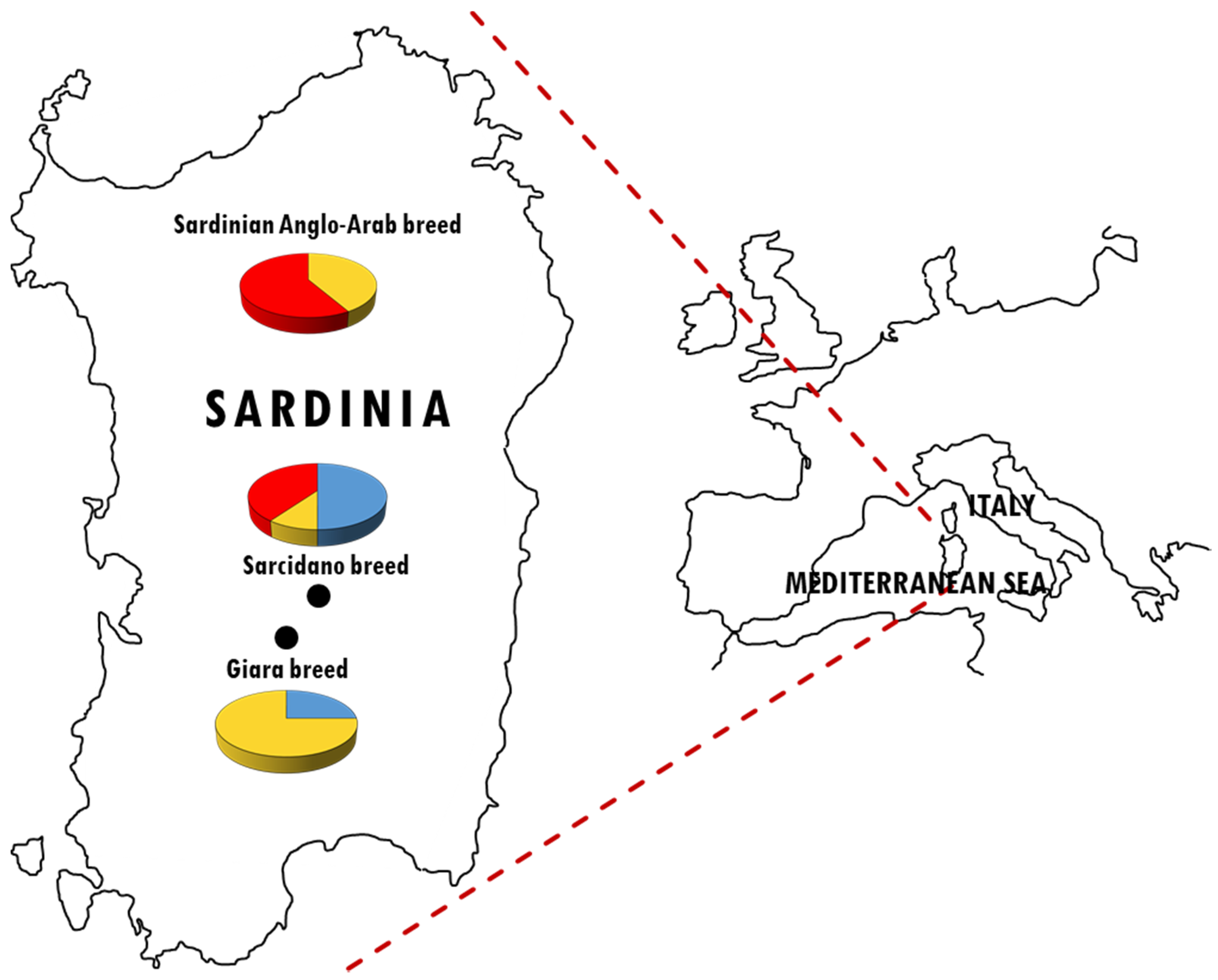A Genetic Window on Sardinian Native Horse Breeds through Uniparental ...