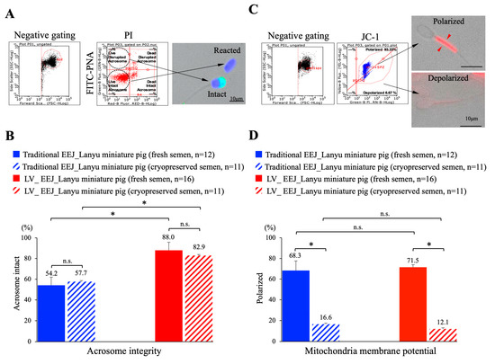 Novel Low-Voltage Electro-Ejaculation Approach for Sperm Collection ...