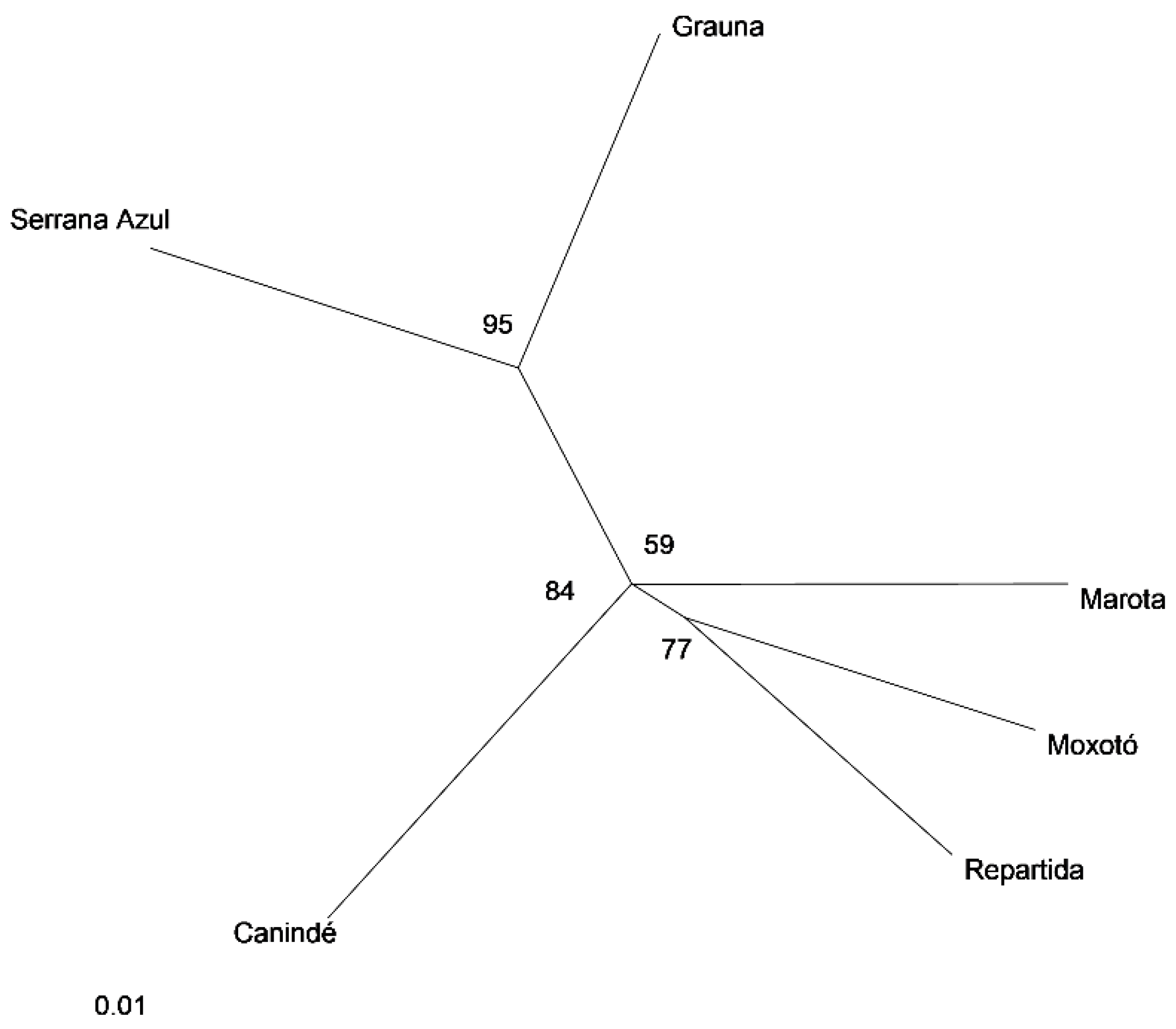 Diversity Analysis and Genetic Relationships among Local Brazilian Goat ...