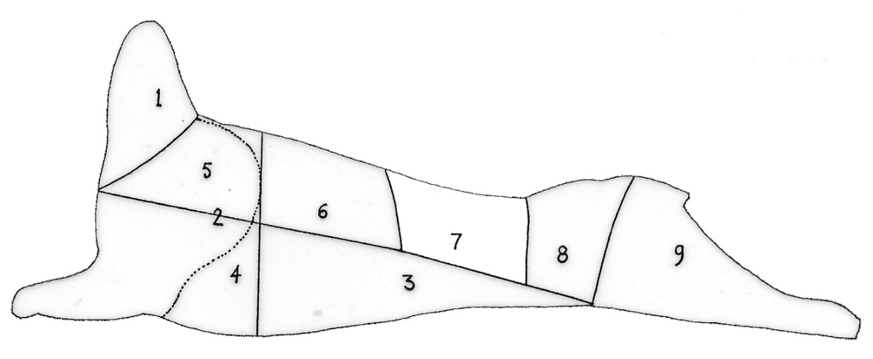 Effect of Breed Types and Castration on Carcass Characteristics of Boer ...