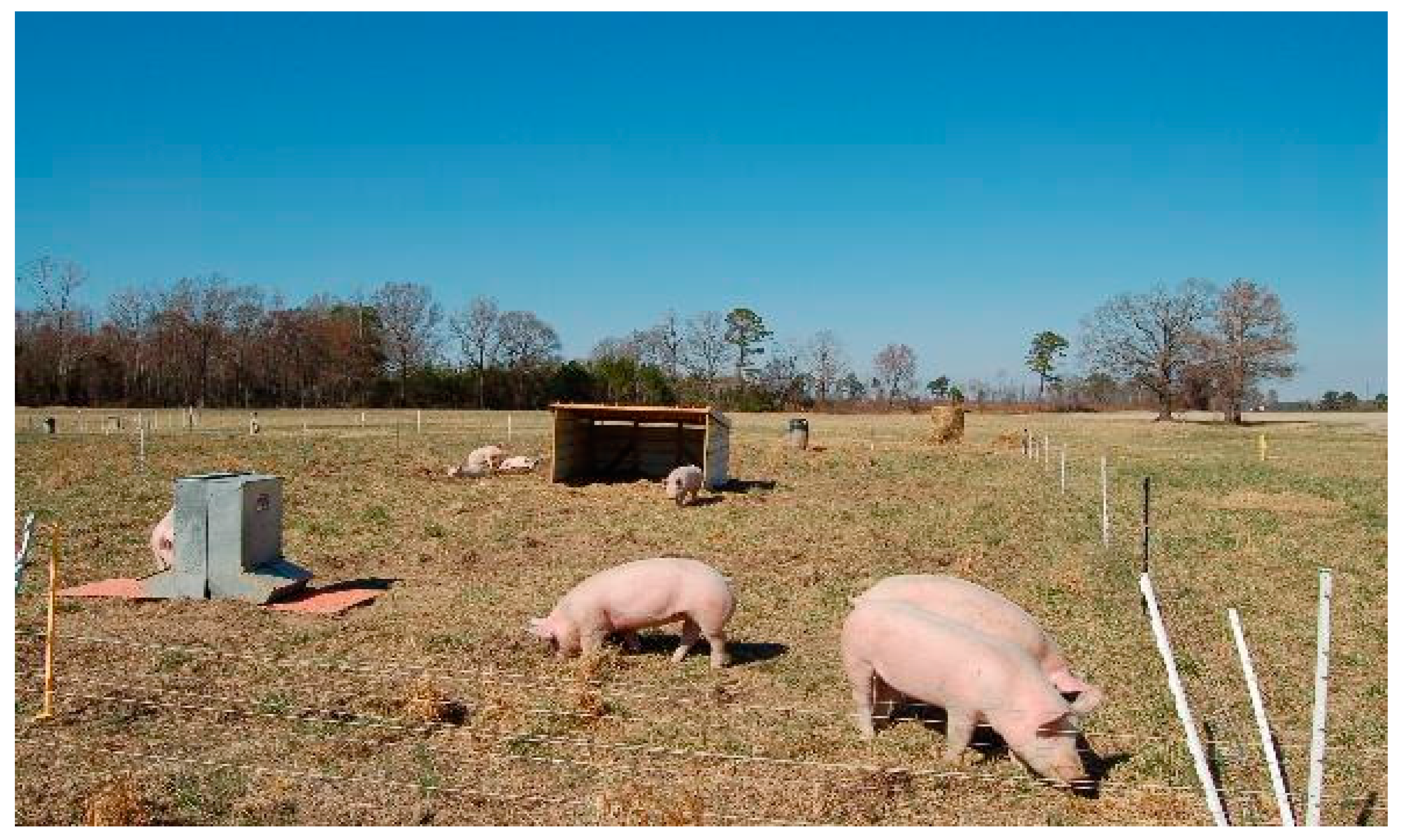 A Comparison of Stocking Methods for Pasture-Based Growing-Finishing ...