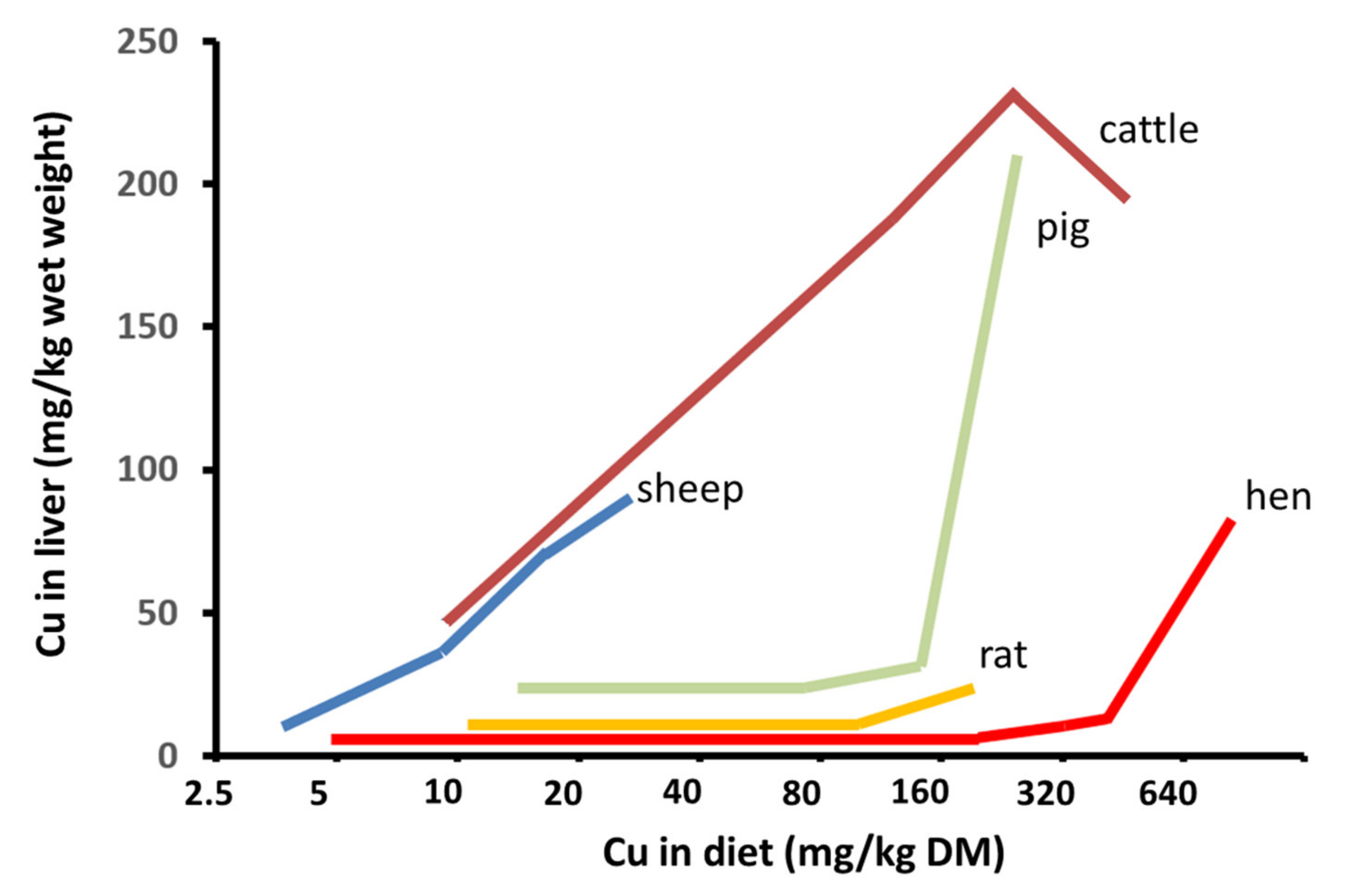 Copper Supplementation, A Challenge in Cattle