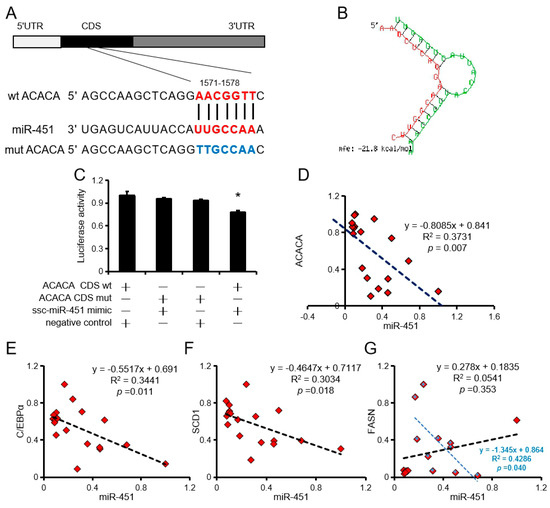 ssc-miR-451 Regulates Porcine Primary Adipocyte Differentiation by ...