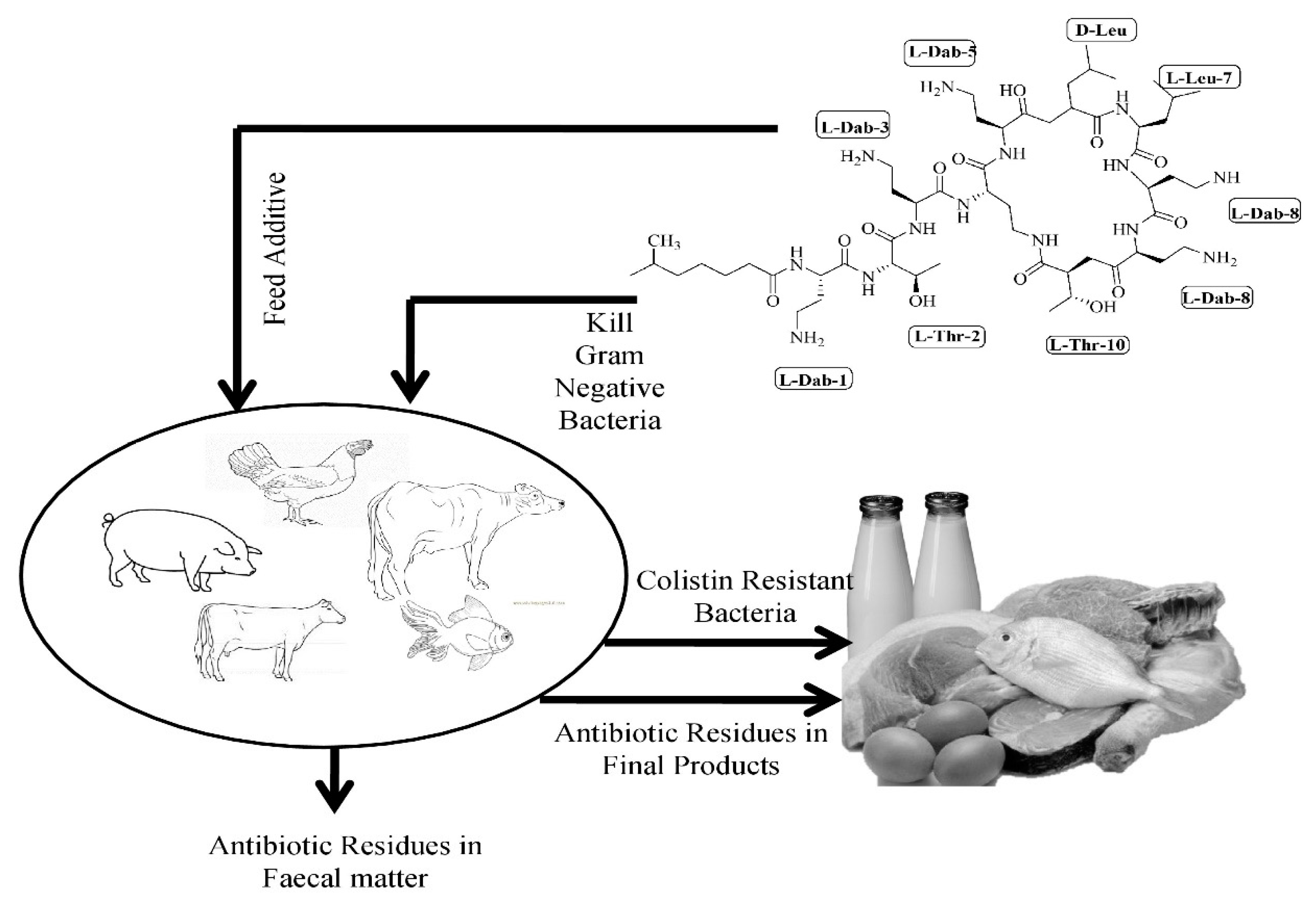 Understanding of Colistin Usage in Food Animals and Available Detection ...