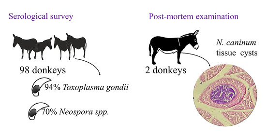 Animals | Special Issue : Advances in Donkey and Mule Research