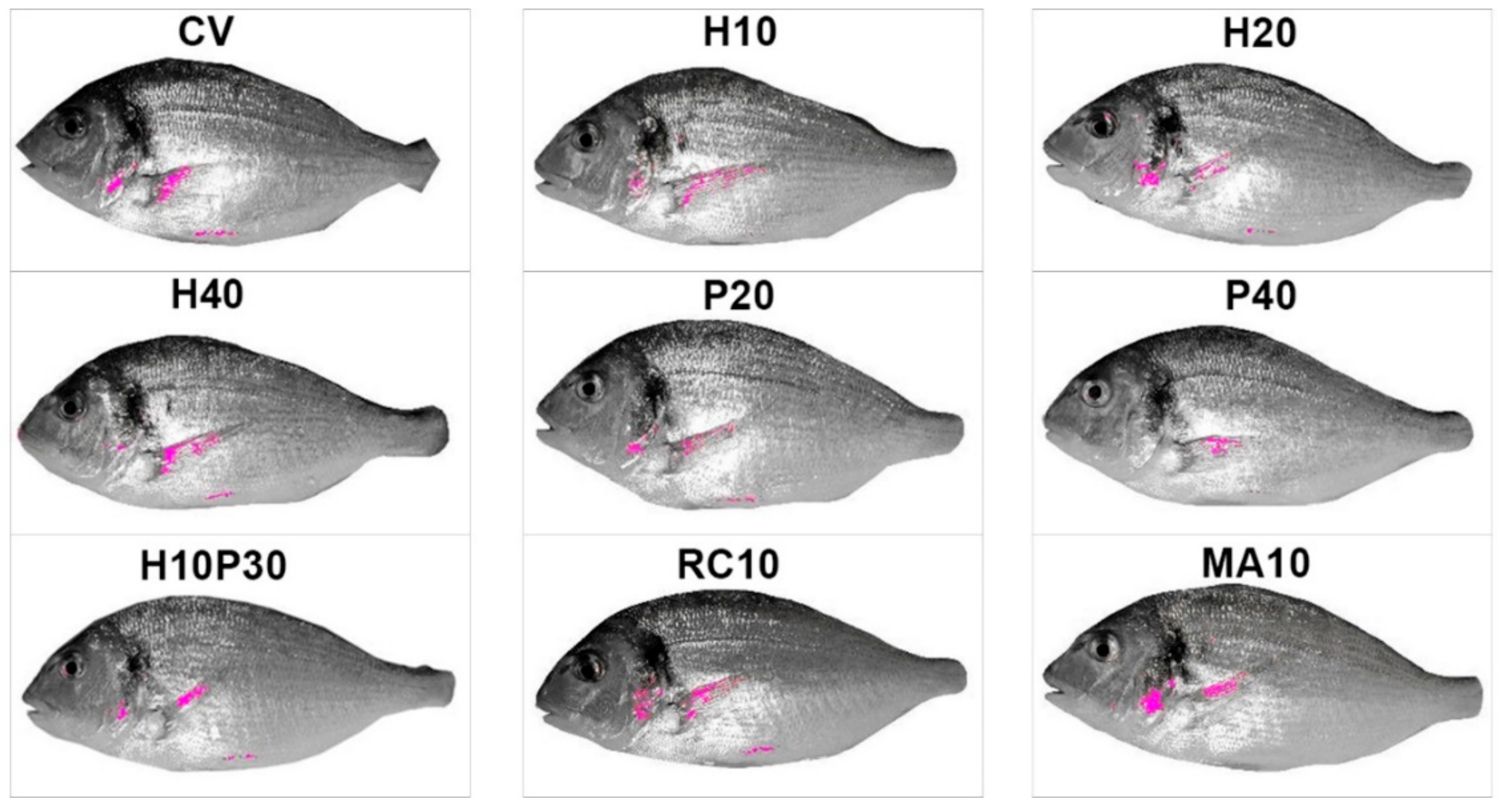 Skin Pigmentation in Gilthead Seabream (Sparus aurata L.) Fed ...