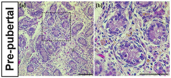 Animals | Special Issue : Advances in Donkey and Mule Research