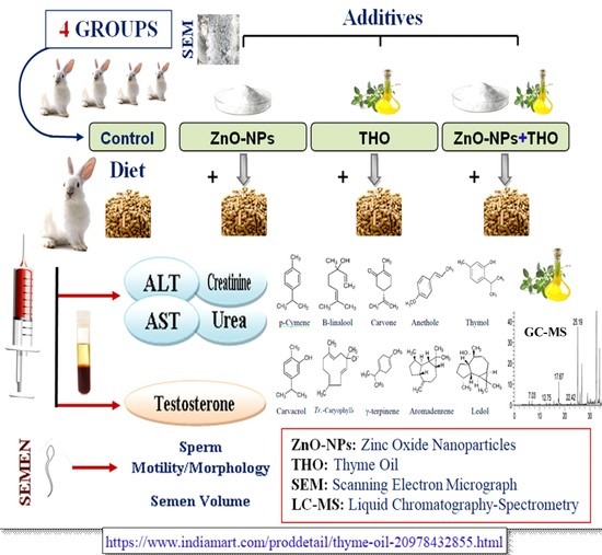 Animals | Special Issue : Poultry and Rabbit Production in Alternative ...