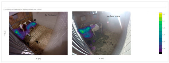 Development and Validation of an Automated Video Tracking Model for ...