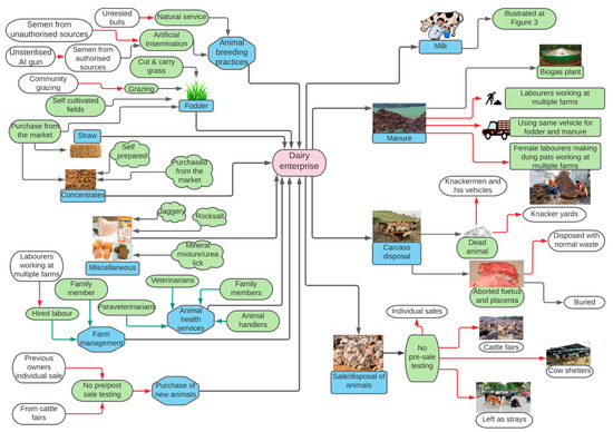 Using Dairy Value Chains to Identify Production Constraints and ...