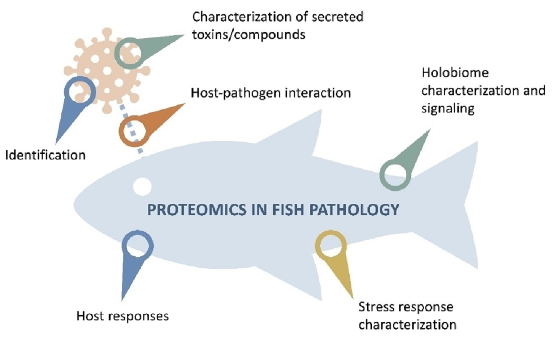 Animals | Free Full-Text | Fish Pathology Research and Diagnosis in ...