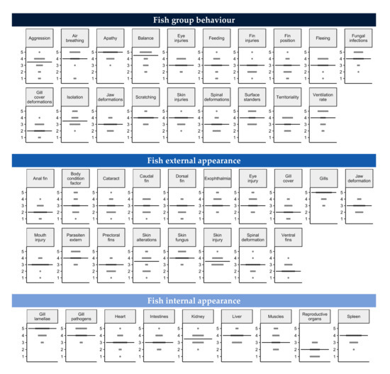 Animals | Free Full-Text | MyFishCheck: A Model to Assess Fish Welfare ...