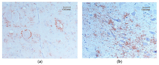 Classical and Atypical Scrapie in Sheep and Goats. Review on the ...
