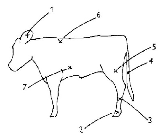 Thermoregulatory Responses and Performance of Dairy Calves Fed ...