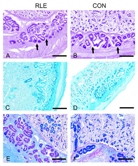 Animals | Special Issue : Alternative feeds and feeding systems in ...