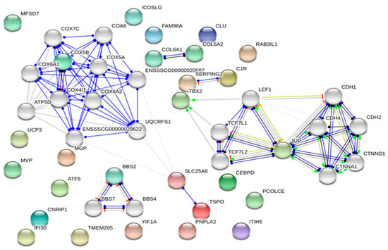 Key Genes Regulating Skeletal Muscle Development and Growth in Farm Animals