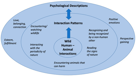 Human–Animal Interactions: Expressions of Wellbeing through a “Nature ...