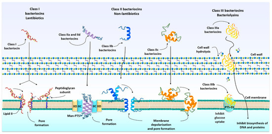 Bacteriocins from Lactic Acid Bacteria. A Powerful Alternative as ...