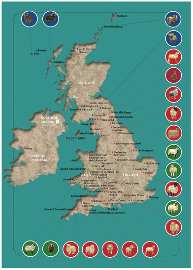 British Sheep Breeds as a Part of World Sheep Gene Pool Landscape ...