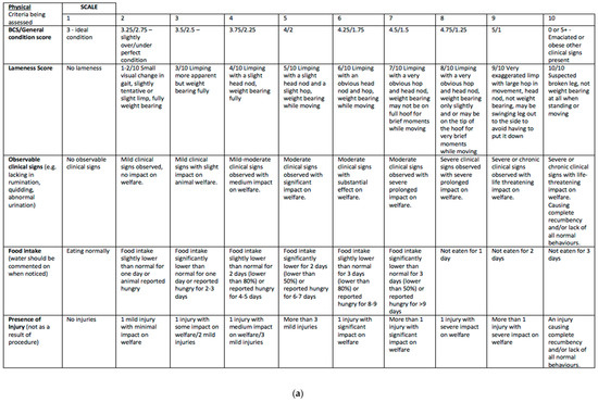 Assessment of the Welfare of Experimental Cattle and Pigs Using the ...