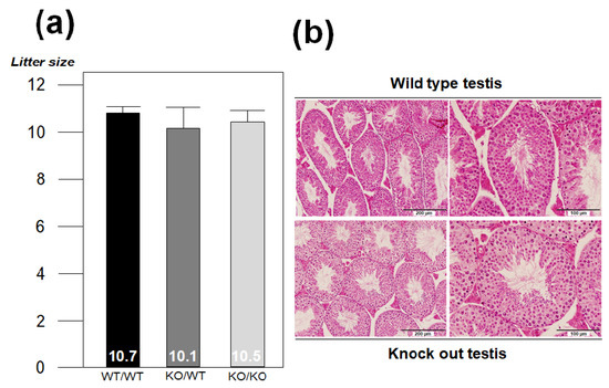 Animals | Special Issue : Reproduction, Fertility and Embryonic ...