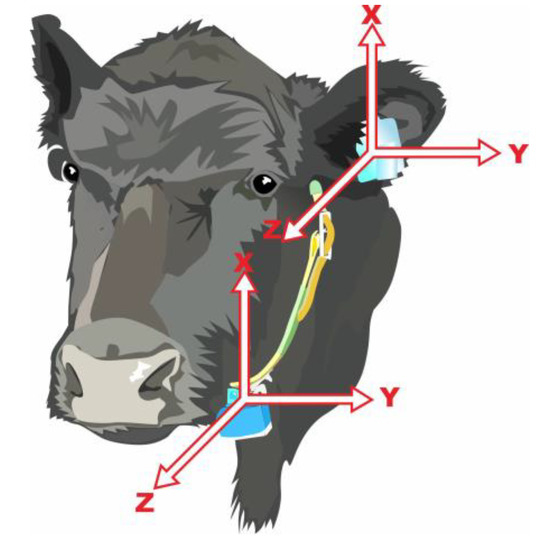 A Pilot Study Using Accelerometers to Characterise the Licking ...