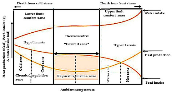 Protein and Amino Acid Metabolism in Poultry during and after Heat ...