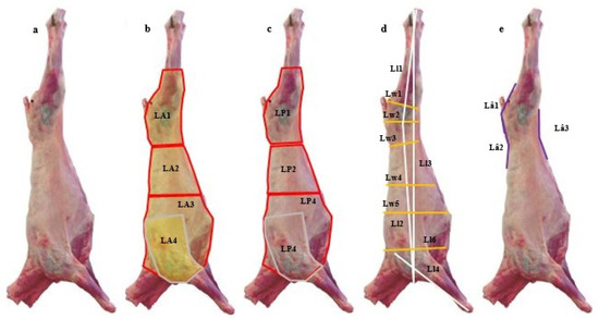 Animals | Free Full-Text | Evaluation of an Image Analysis Approach to ...