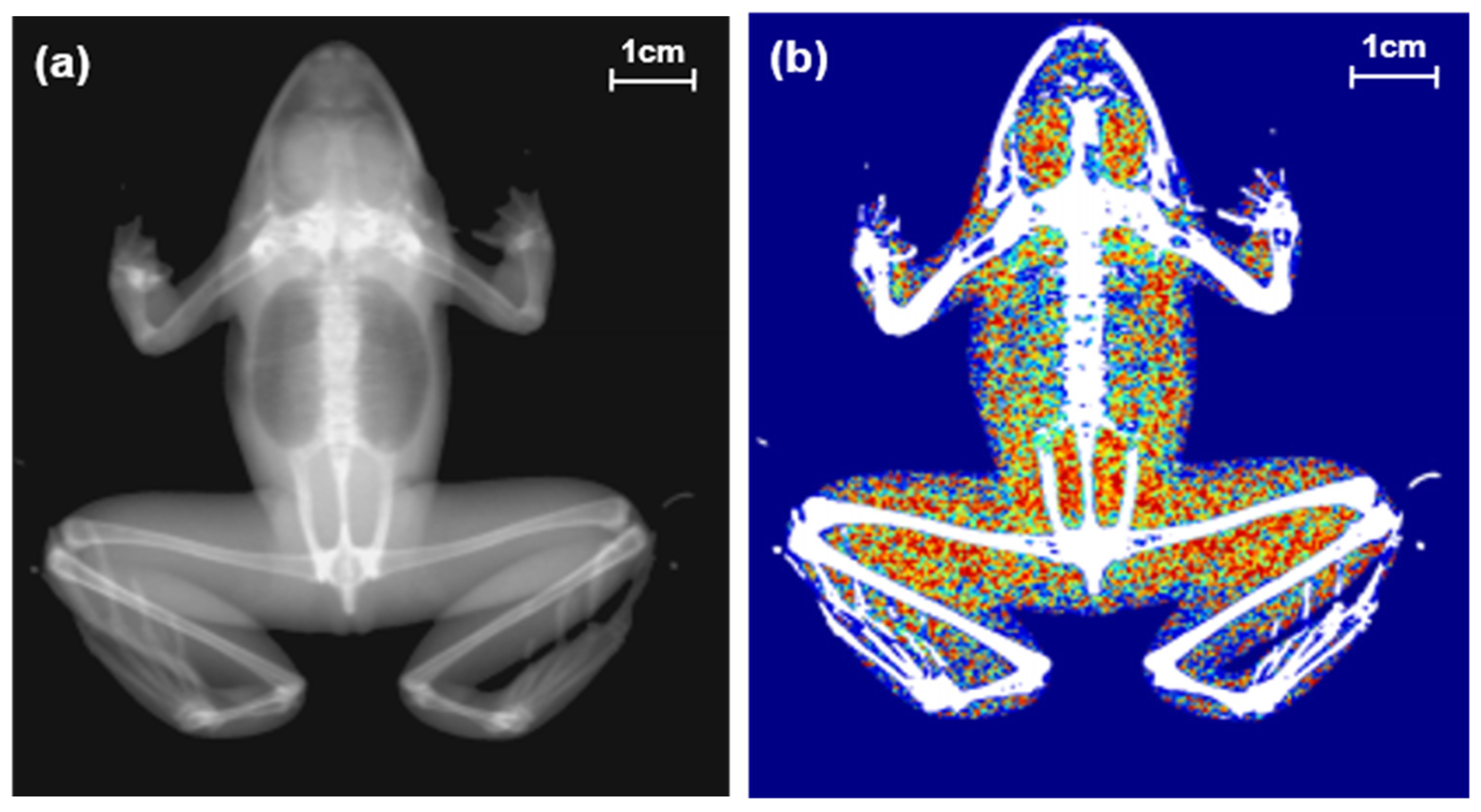 Reference Intervals in Combined Veterinary Clinical Examinations of ...