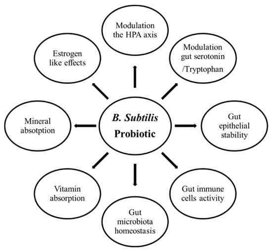 Bacillus subtilis-Based Probiotic Improves Skeletal Health and Immunity ...